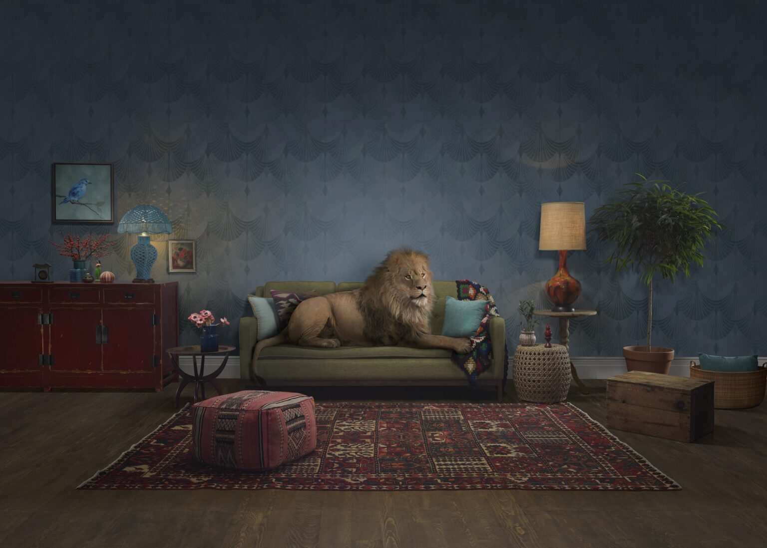 LION – JULIA FULLERTON-BATTEN